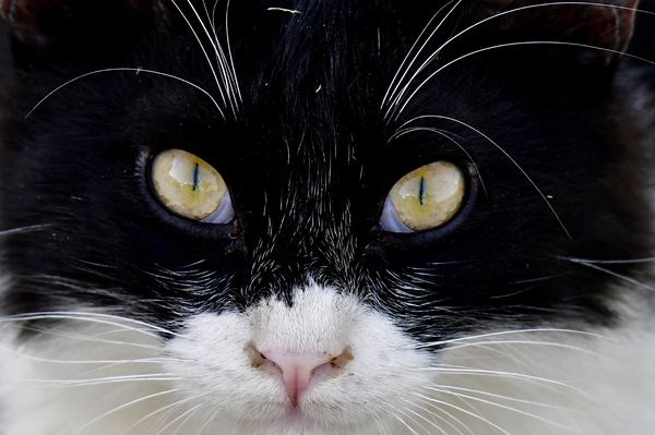 Free stock photos - Rgbstock - Free stock images