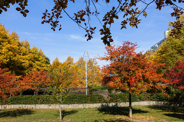 Free stock photos - Rgbstock - Free stock images