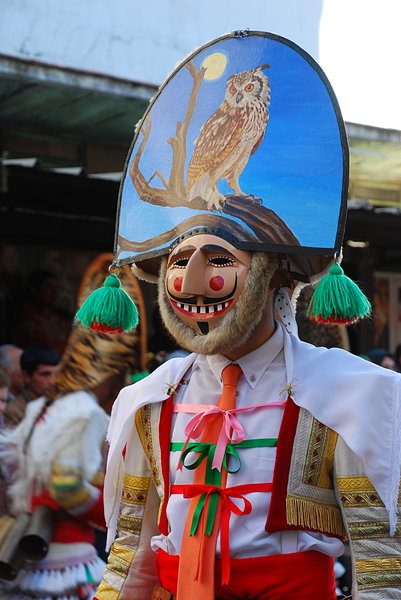 Free stock photos - Rgbstock -Free stock images | Cigarrón 4 | saavem ...