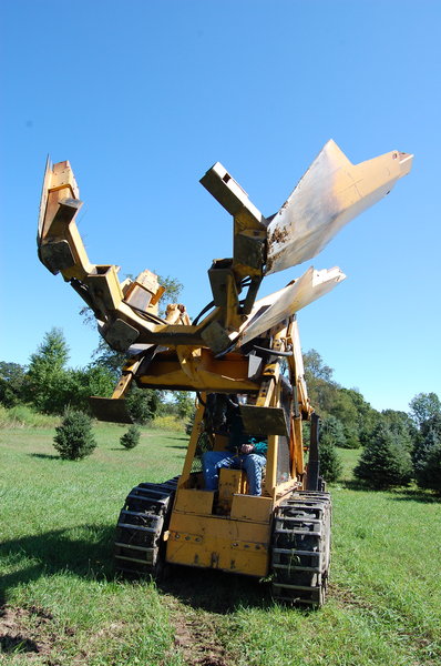 Tree transport | Free stock photos - Rgbstock -Free stock images ...