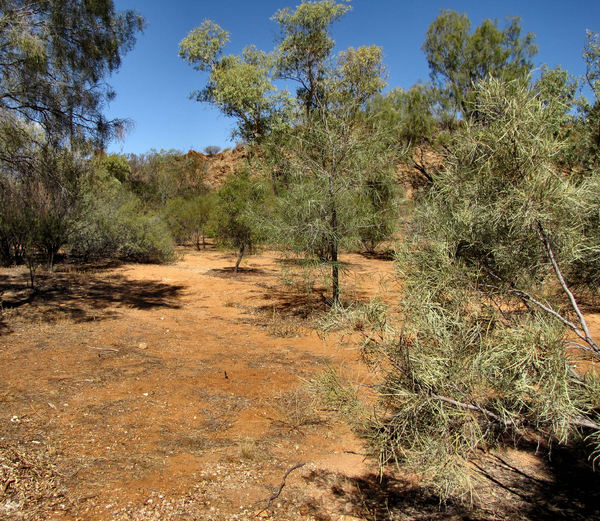arid area1 | Free stock photos - Rgbstock -Free stock images | TACLUDA ...
