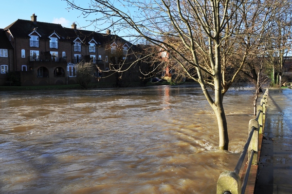 River overflowing | Free stock photos - Rgbstock -Free stock images ...